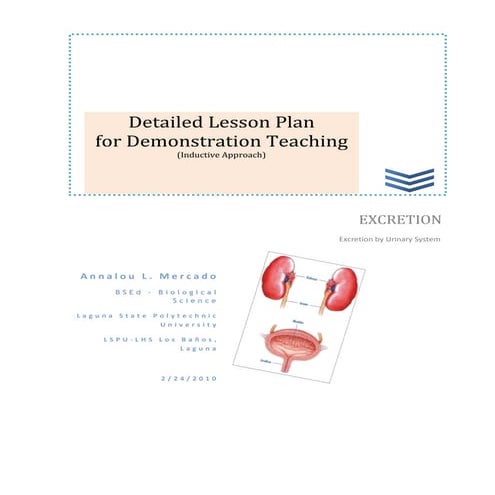Objectives Of Lesson Plan Urinary System | DOCX