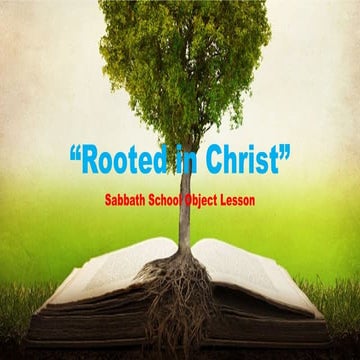 9 - LINER PROCEDURE.pptx