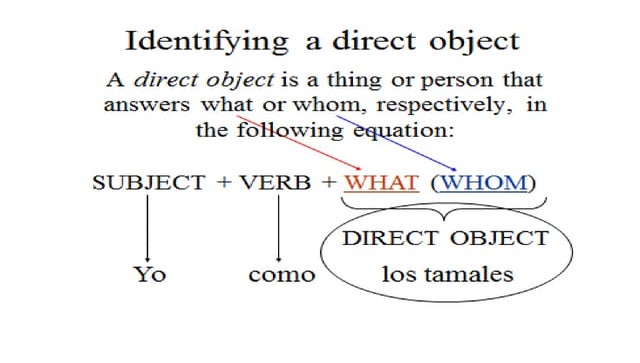 Direct Object Examples