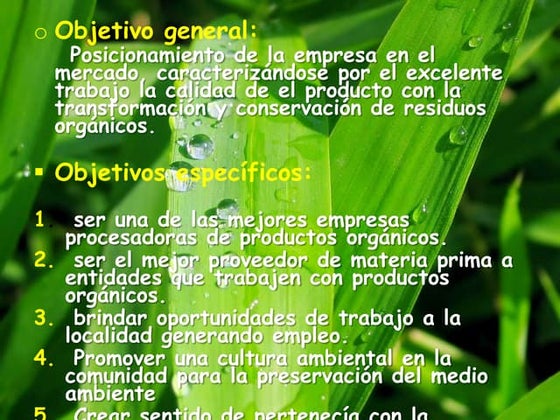 Types Of Ice Layout 1 | PDF