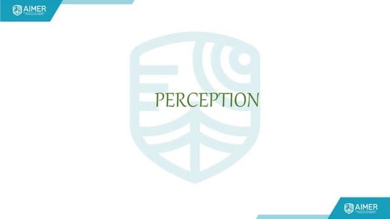 Perception - Organisational Behaviour | PPTX | Technology & Computing