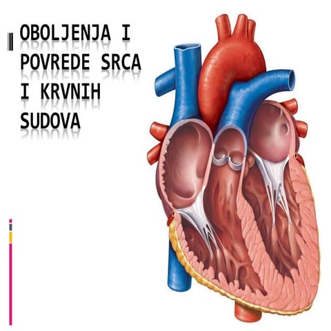 Gradja biljaka | PPTX