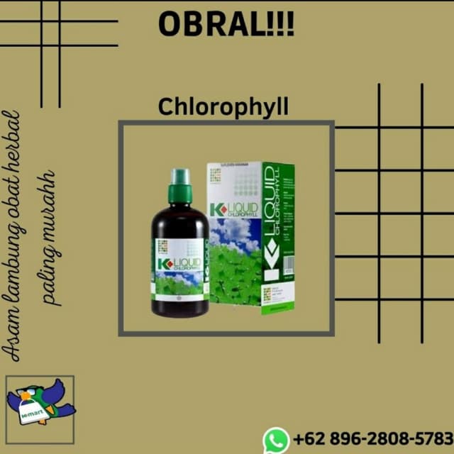Obral.pdf