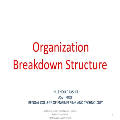 Organization Breakdown Structure | PPT | Free Download