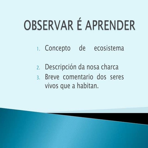 Observar é Aprender | PPTX