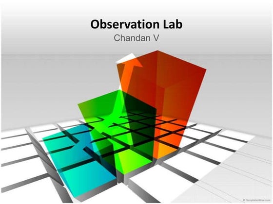 Observation lab | PDF