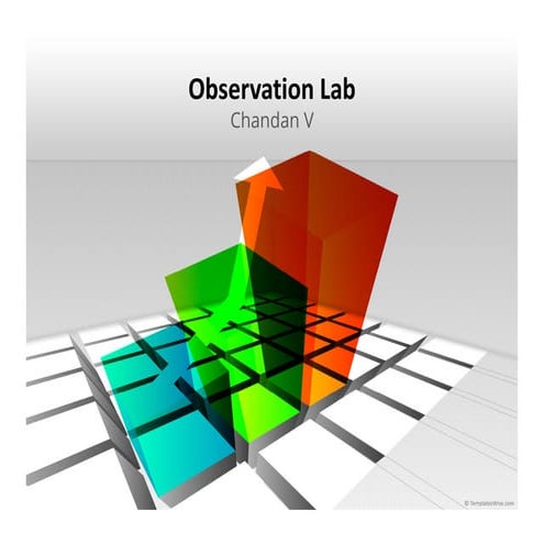 Observation lab | PPT