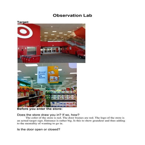 Observation lab | PDF