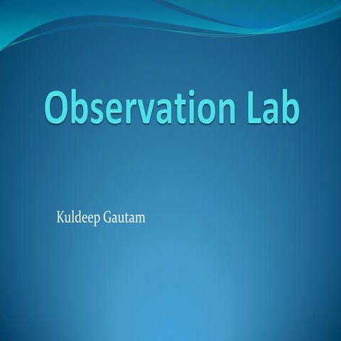 Observation assignment | PDF