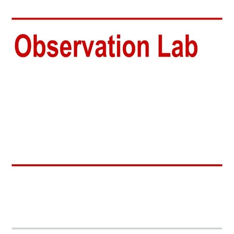 Observation lab | PPT
