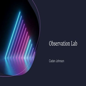 Observation Lab.pptx