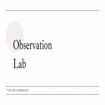 Observation Lab.pdf