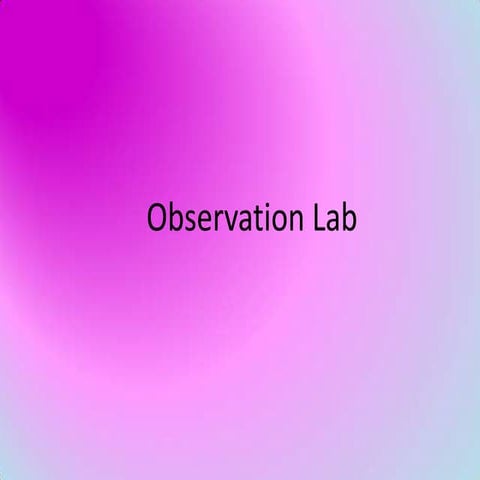 Observation lab (areeba siddiqui) | PPTX