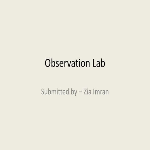 Observation lab assignment | PPT