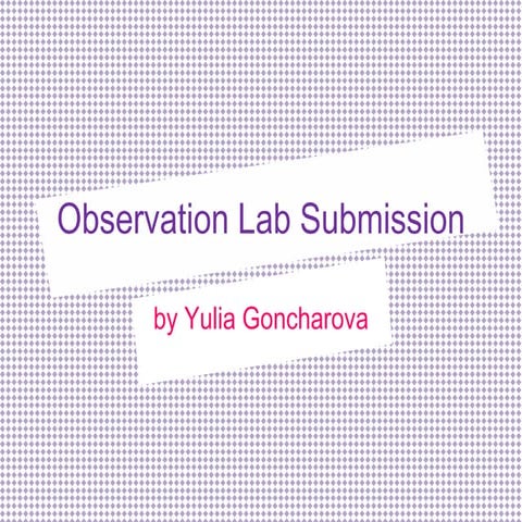 Observation lab submission | PPTX | Business | Business and Finance