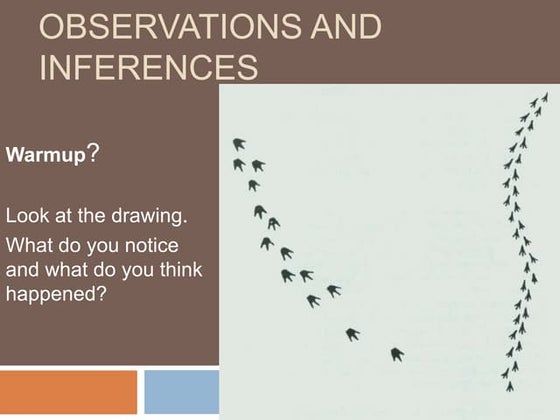 Observations vs Inferences | PPT | Science
