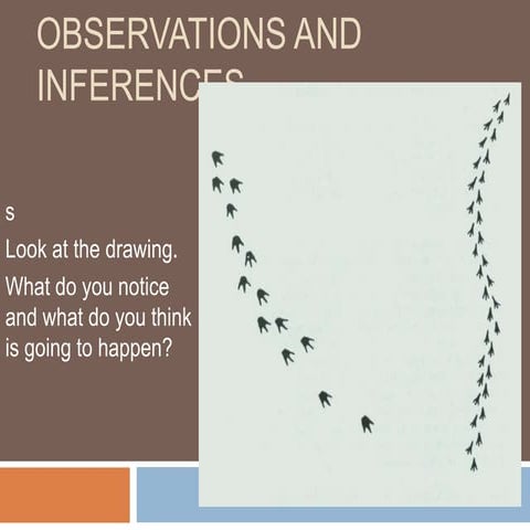 Observations and inferences | PPTX