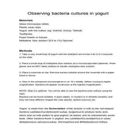 Observation yogurt bacteria (i) | DOCX