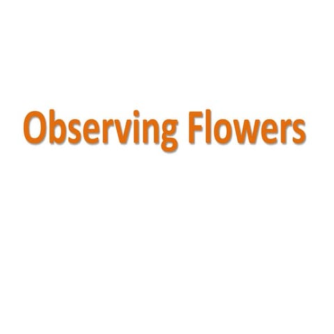 Observing flowers | PPT