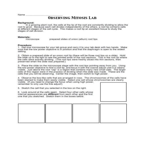 Observing mitosis lab | DOCX