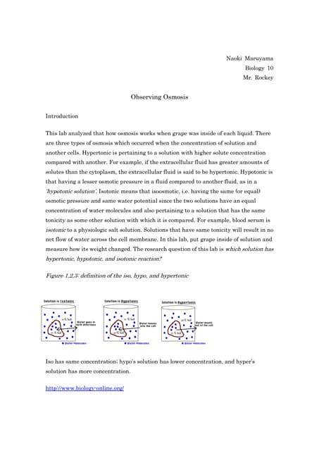 Lab report osmosis in grapes | PDF