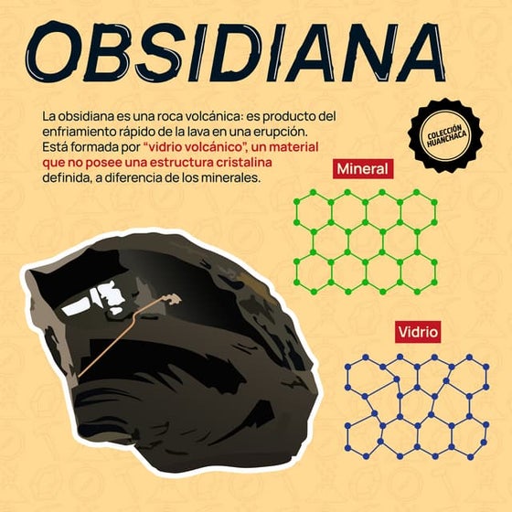 Chilenosuchus forttae - Museo Ruinas de Huanchaca | PDF | Reptiles | Pets