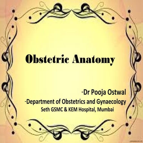 Obstetric Anatomy | PPT
