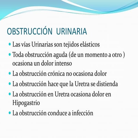 Obstrucción y estasis urinarias | PPTX