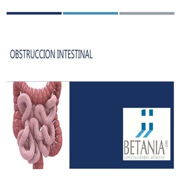 Obstruccion intestinal | PPTX