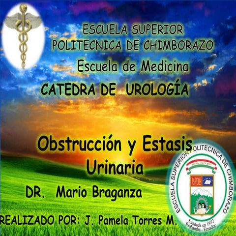 Obstruccion y estasis urinaria | PPTX
