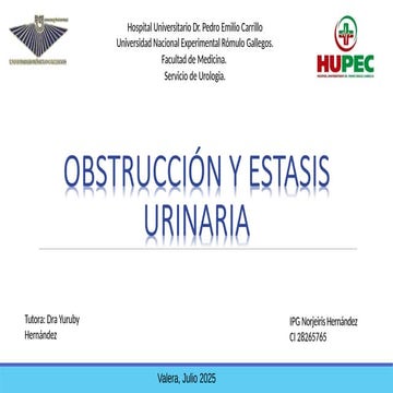 obstruccion y estasis urinario - UNERH.pptx