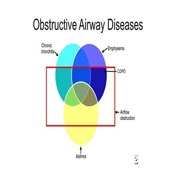 Obstructive Airway Diseases.pdf