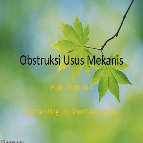 Obstruksi Usus Mekanis PPT.pptx