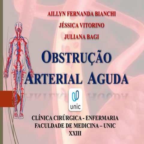 Cartografia Doppler Arterial de MMII | PDF