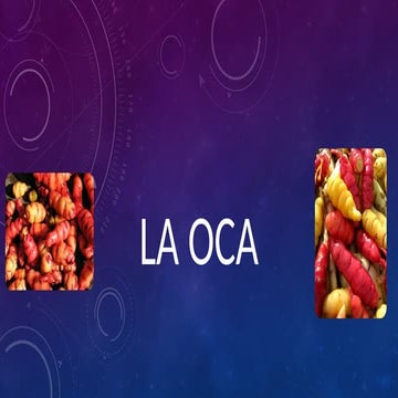oca-190514213002.pptxjiskjskwjwjeijedjdjjej | PPTX