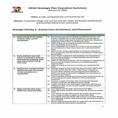 Ocac strategic plan executive summary | PDF