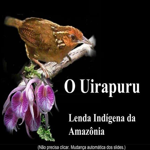 Canto do uirapuru lenda indígena | PPS