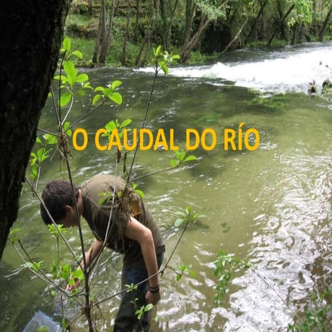 O caudal do río | PPT
