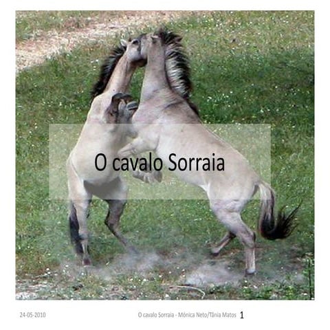 O Cavalo Sorraia | PPTX