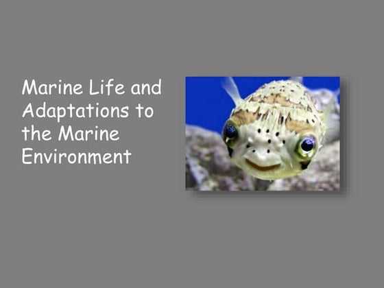 Marine biology | PPT
