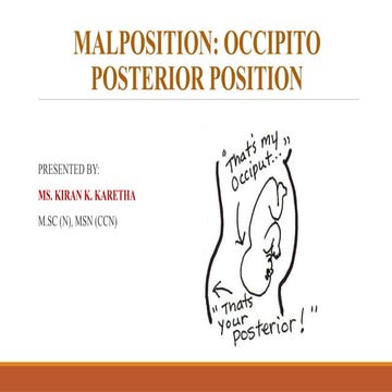 Occipito posterior position | PPTX