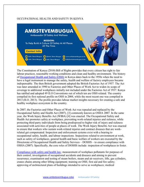 Occupational health care in a nutshell | PDF