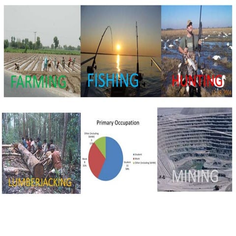 Occupations of india | PPTX