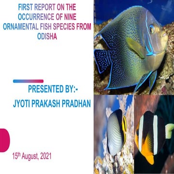 Flat fishes and their fisheries | PDF