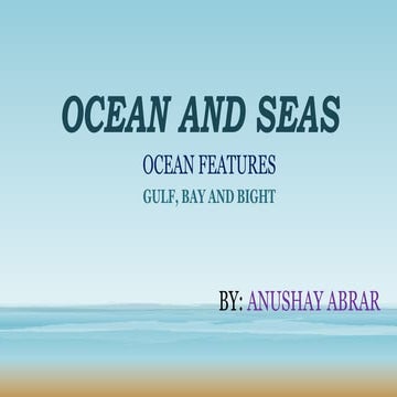 Ocean and seas (class VIII) | PDF