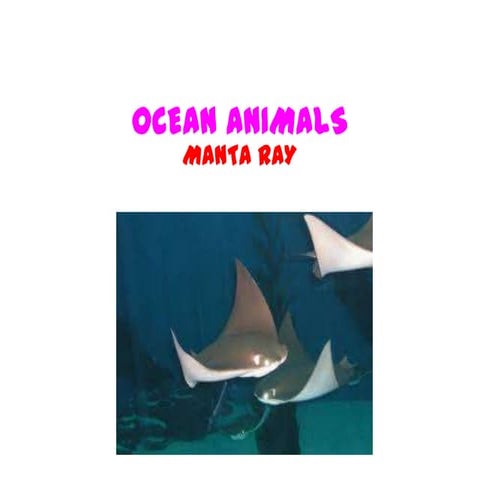 Ocean animals | PPTX
