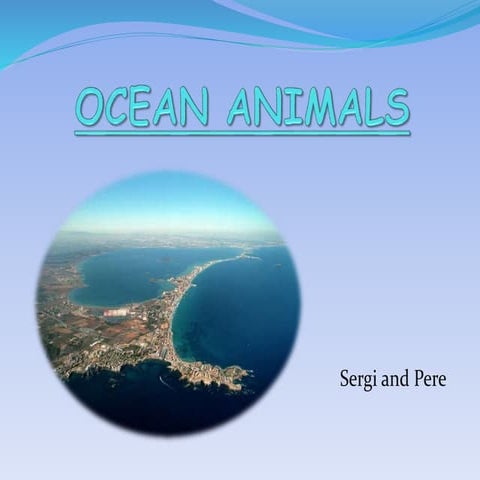 Ocean animals | PPT