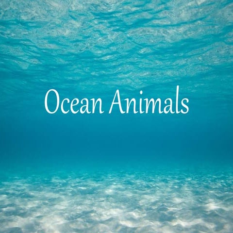 Ocean animals | PPTX