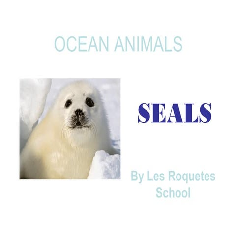 Ocean animals power point2 | PPT