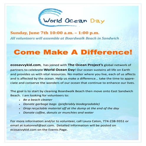 Oceandayflyer[1] | PDF